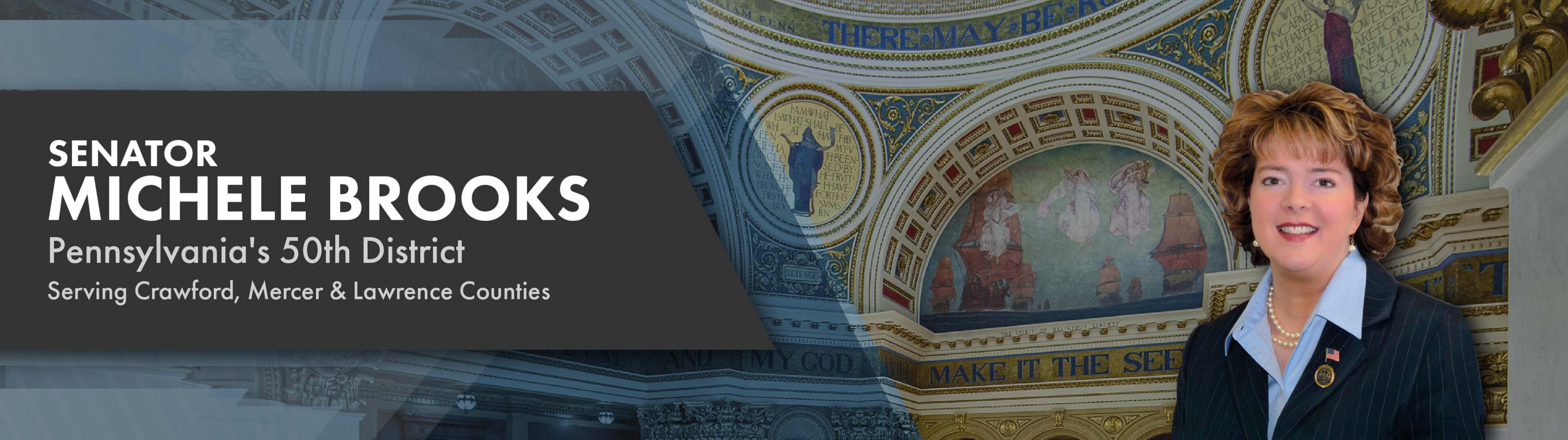 Budget Hearing Q&A: Health (Part 2) - Senator Brooks